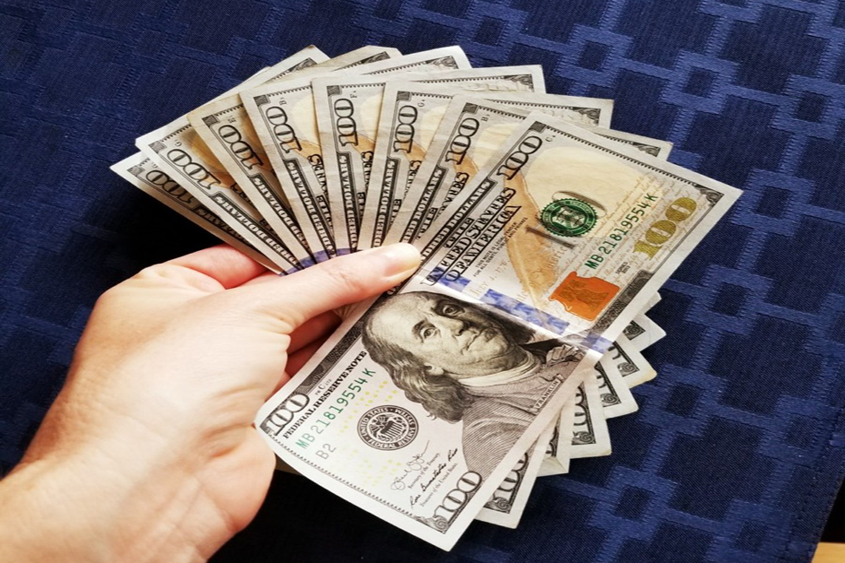 Explore the Initial Costs and Setup for a Backyard Chicken Coop ...